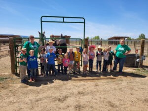 Kickin Dust Horsemanship
