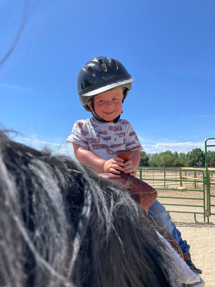 Gallery – Kickin Dust Horsemanship