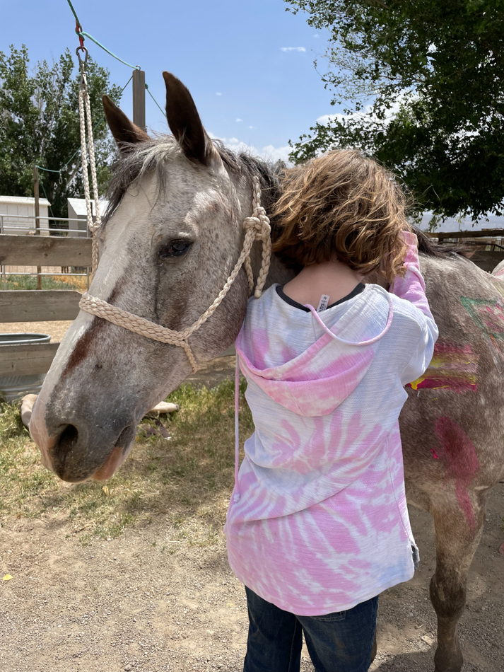 Gallery – Kickin Dust Horsemanship