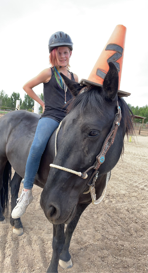 Gallery – Kickin Dust Horsemanship